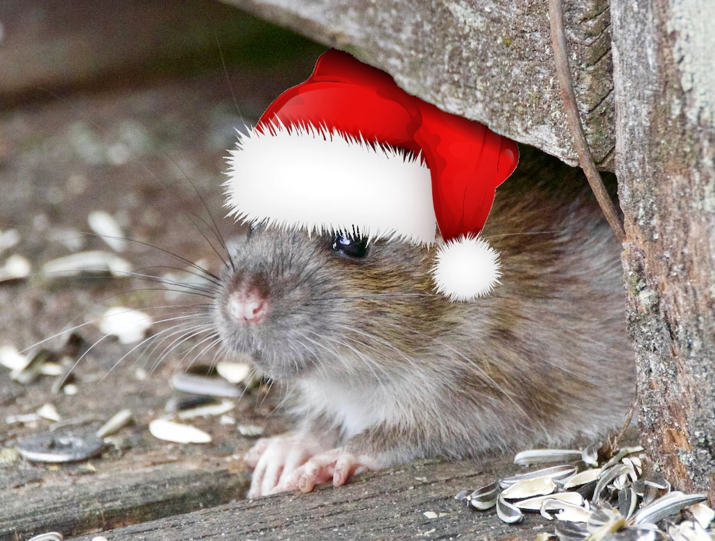 The season of rodents! Don't let rats or mice ruin your Holiday Cheer.